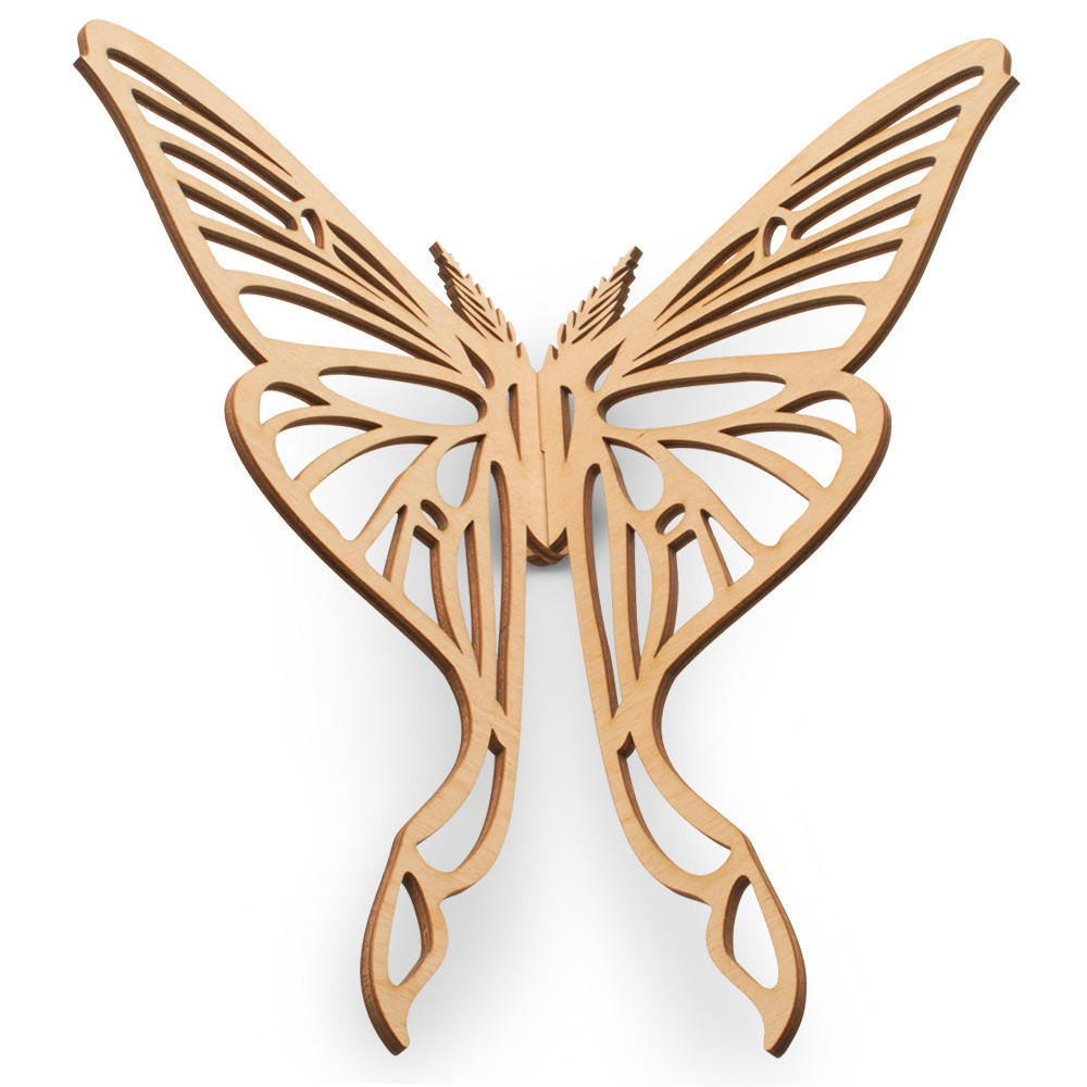 10” Wooden Moth Cutout by Lia Griffith | Woodpeckers Crafts